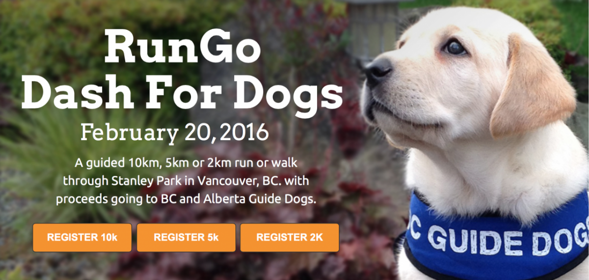 With The RunGo App As Your Guide - My VanCity