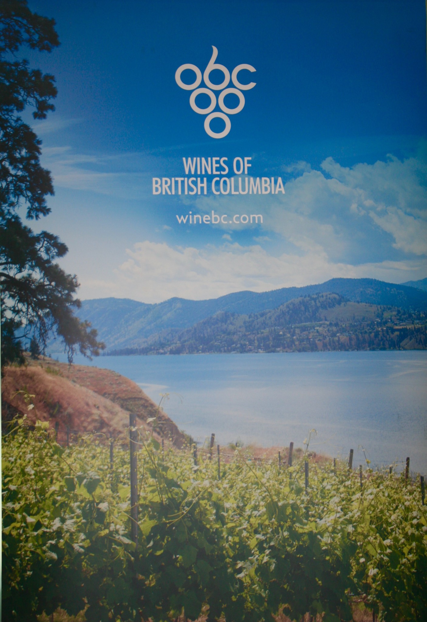 Vintage 2015: An Amazing Year for BC Wines - My VanCity