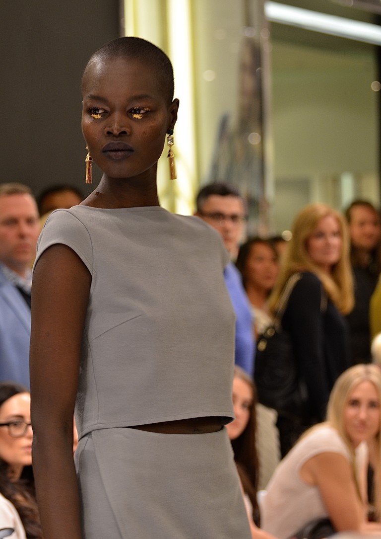 Walk for Water fashion gala raises funds and awareness for the Obakki ...