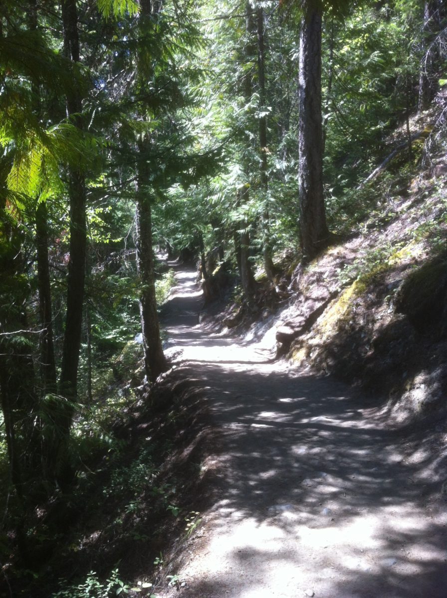 The Road Less Traveled Road Trip - My VanCity