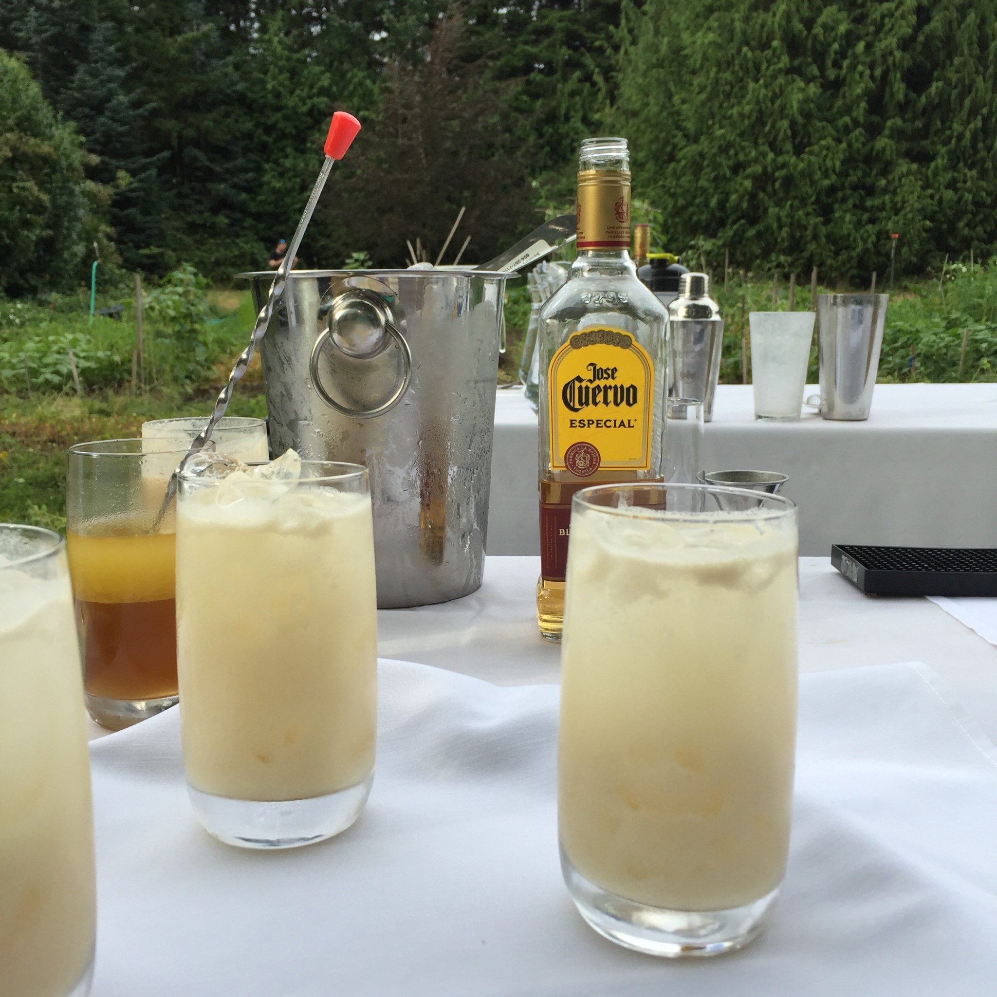 Ford Canada Summer Sustainability Feast #FarmtoCar - My VanCity