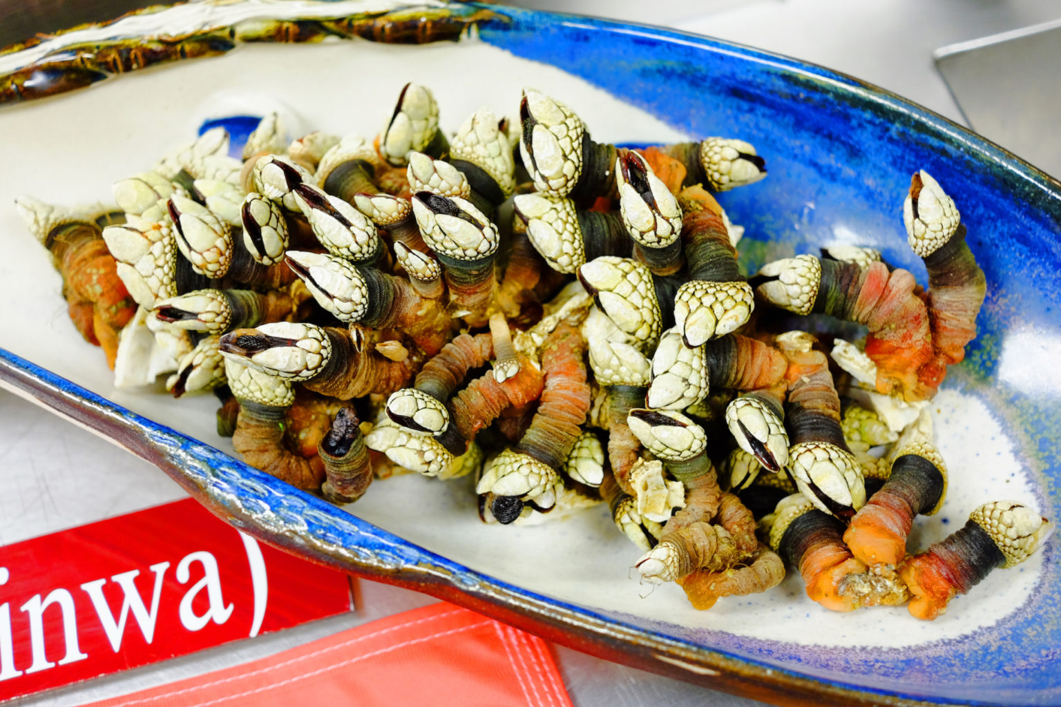 3rd Annual Slow Fish Dinner, presented by the Chef’s Table Society of B ...