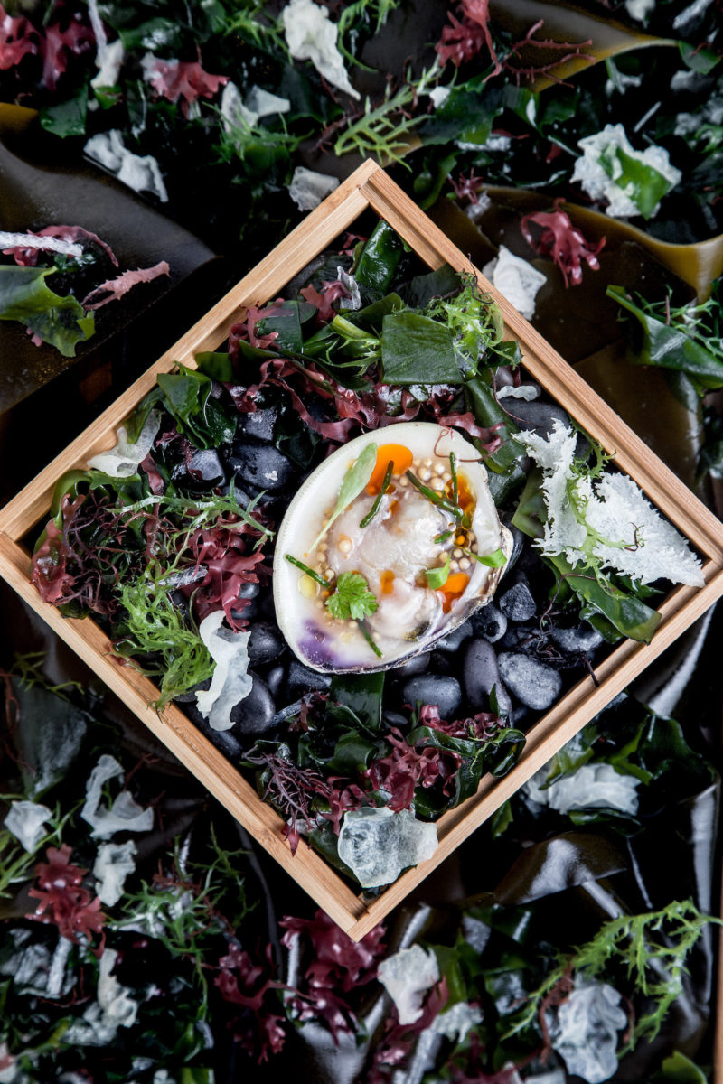 FLAVOURS OF FALL: BOULEVARD KITCHEN & OYSTER BAR UNVEILS NEW FALL ...