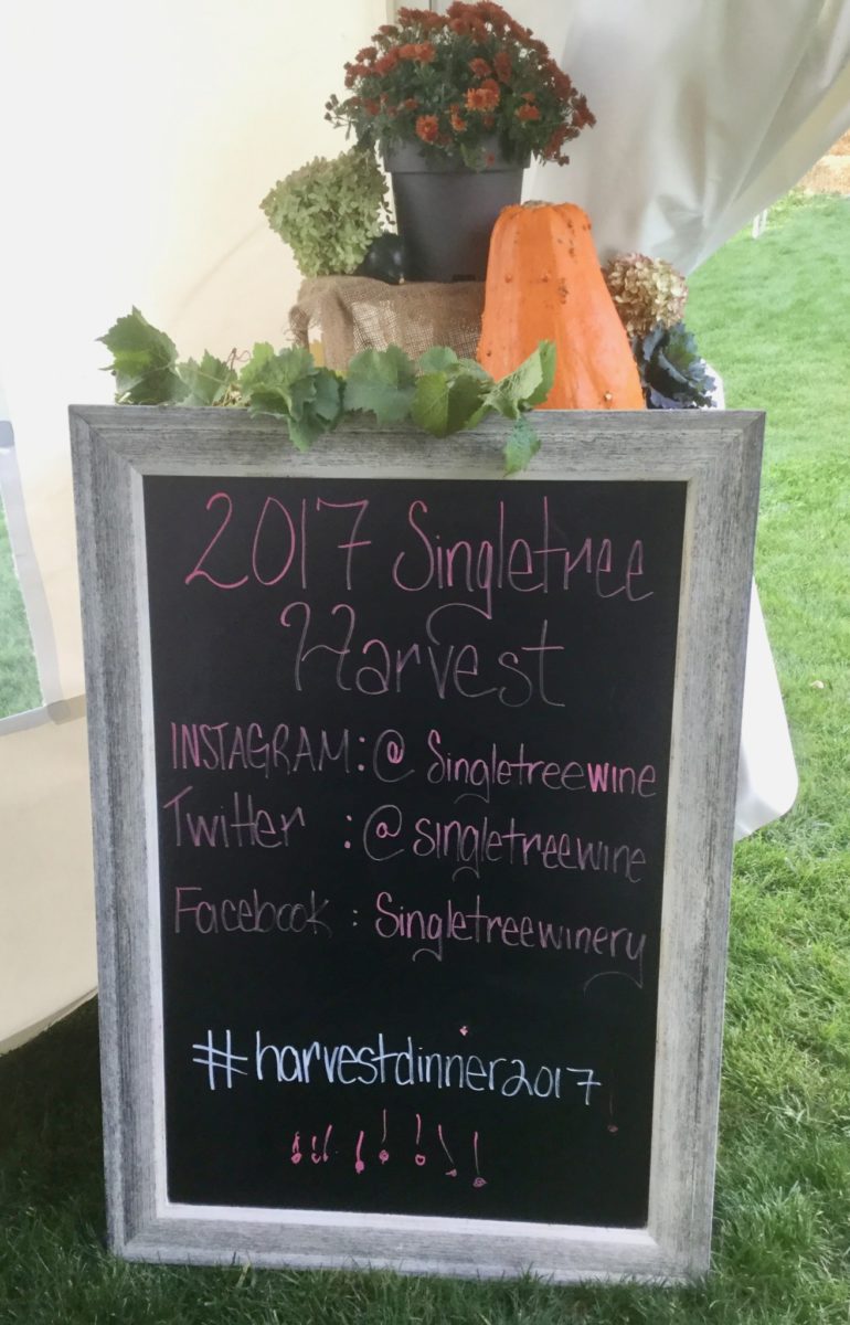 Long Table Harvest Dinner at Singletree Winery - My VanCity