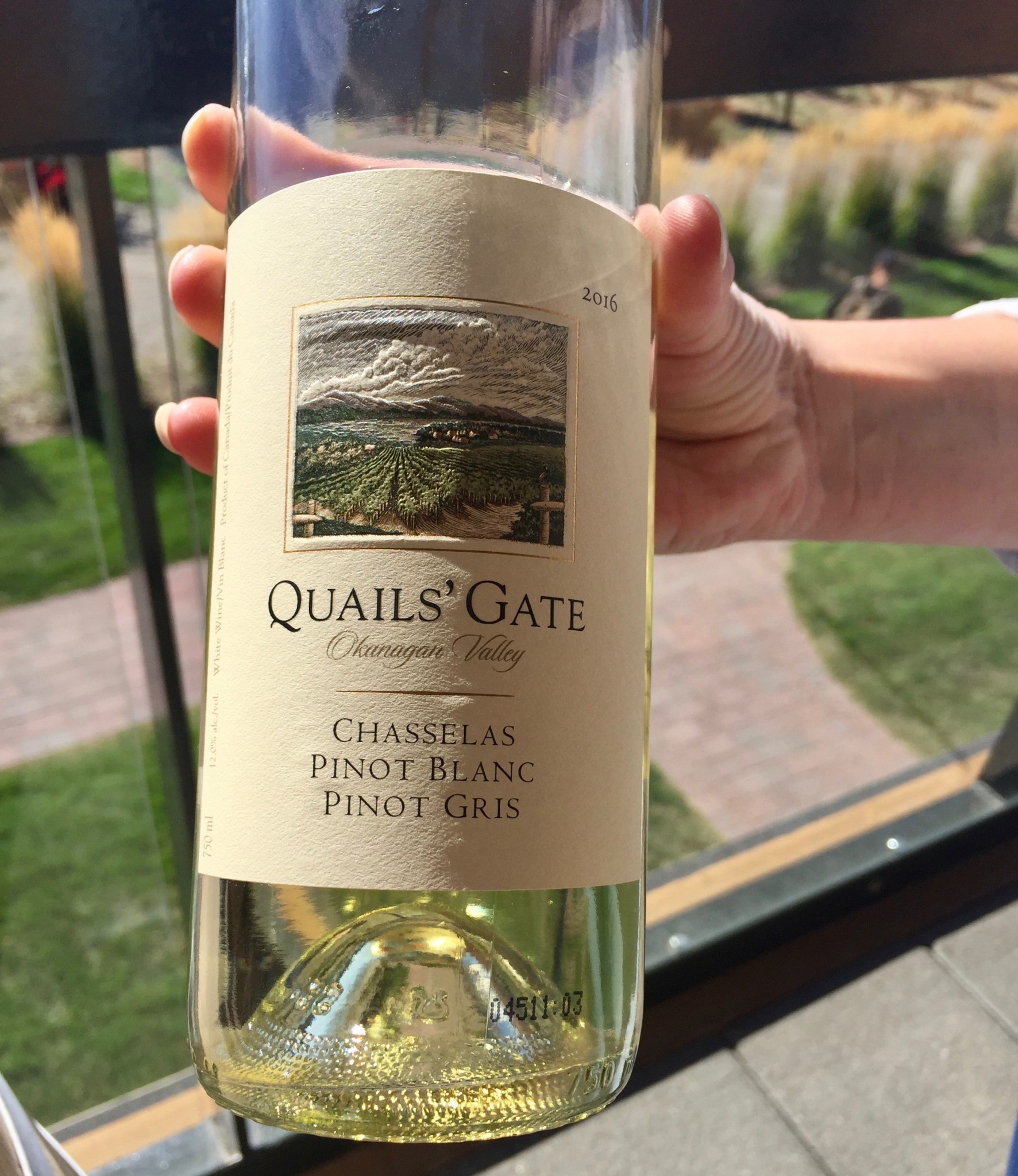Wine Touring in the Okanagan Valley – Quails’ Gate Winery - My VanCity