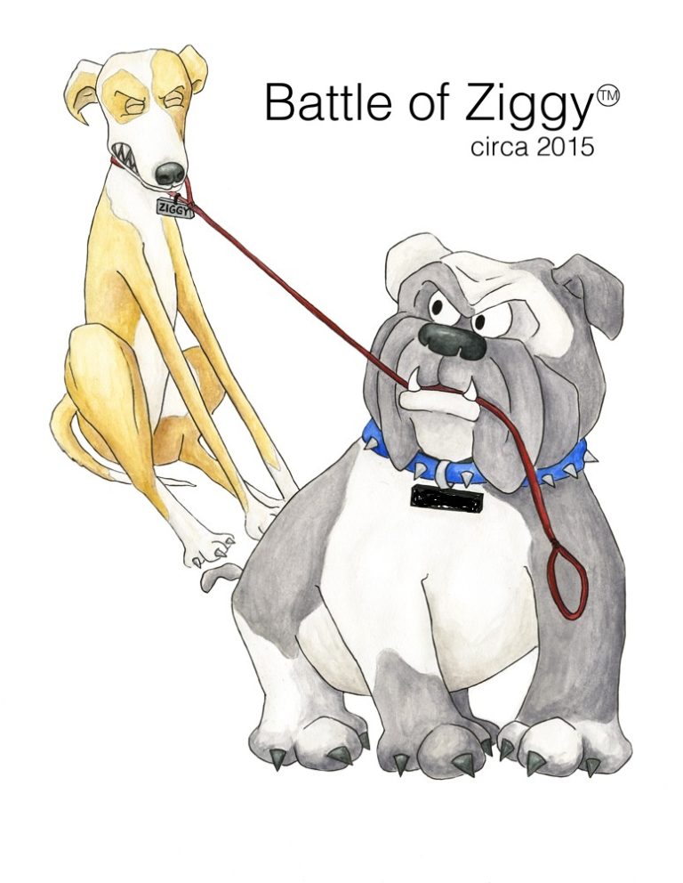 LITTLE ZIGGY IS FIGHTING BACK - My VanCity