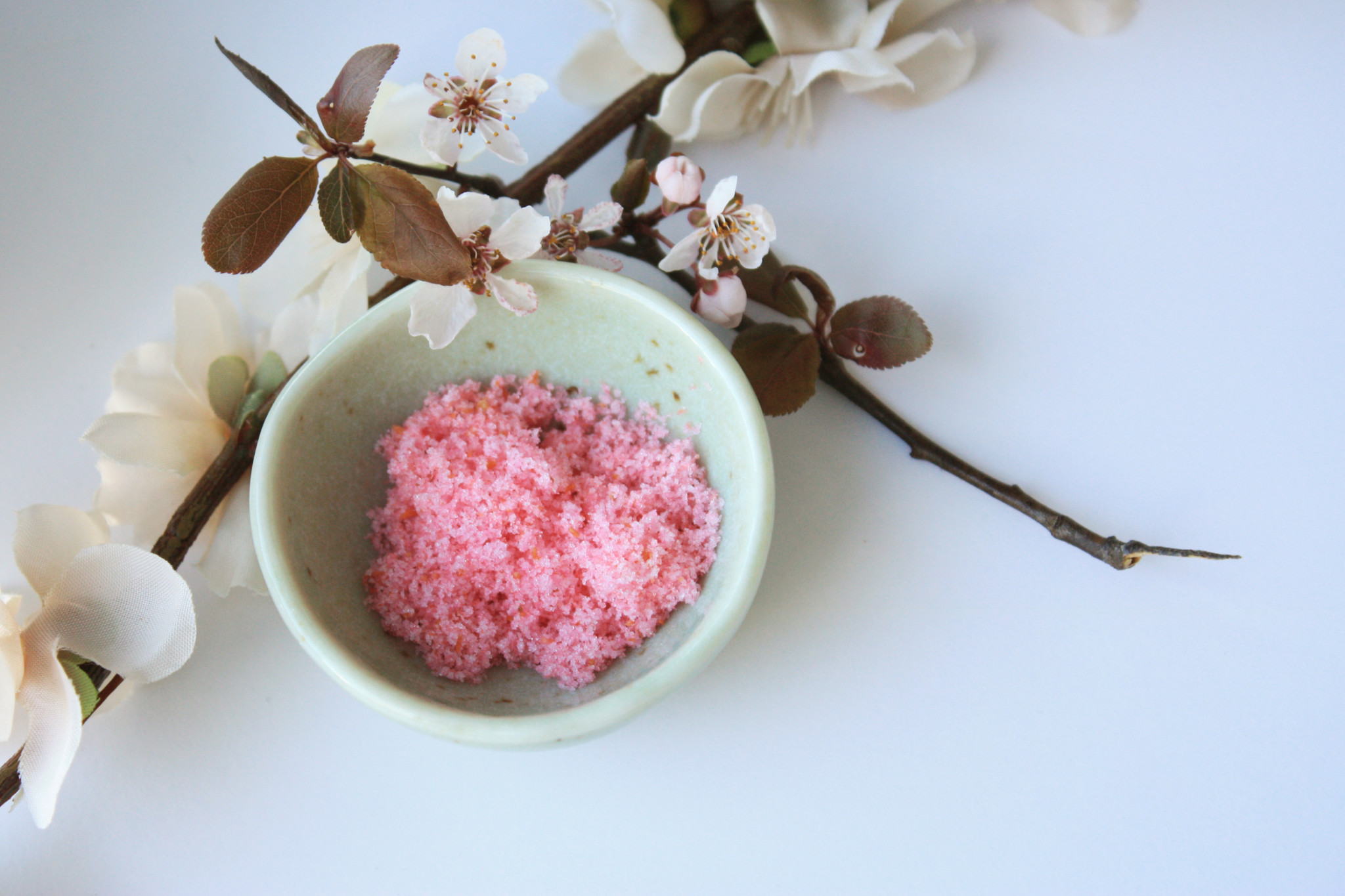 Cherry Blossom season at Miku, Minami, and Gyoza Bar - My VanCity