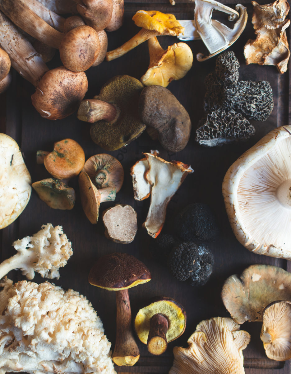 Wildebeest Unveils Limited-Edition Fall Game and Mushroom Menu this ...