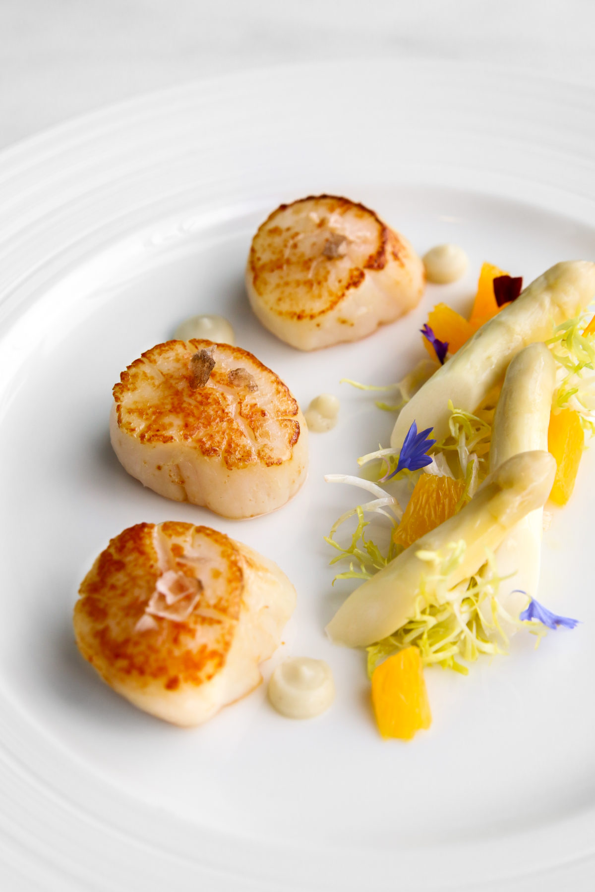 Origo Club Hosts an Exclusive ‘Paulée’-Style Dinner Spotlighting ...