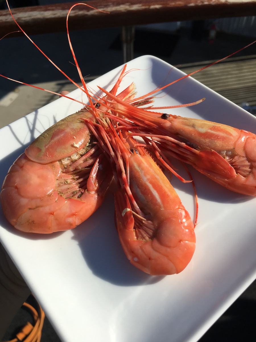 The BC Seafood Festival Signature Weekend Arrives! June 14-16 - My VanCity