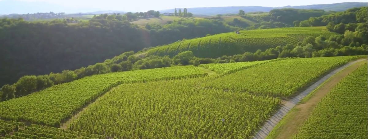 Discover the Red Wines of Côtes du Rhône and Rhône Valley AOC to pair ...