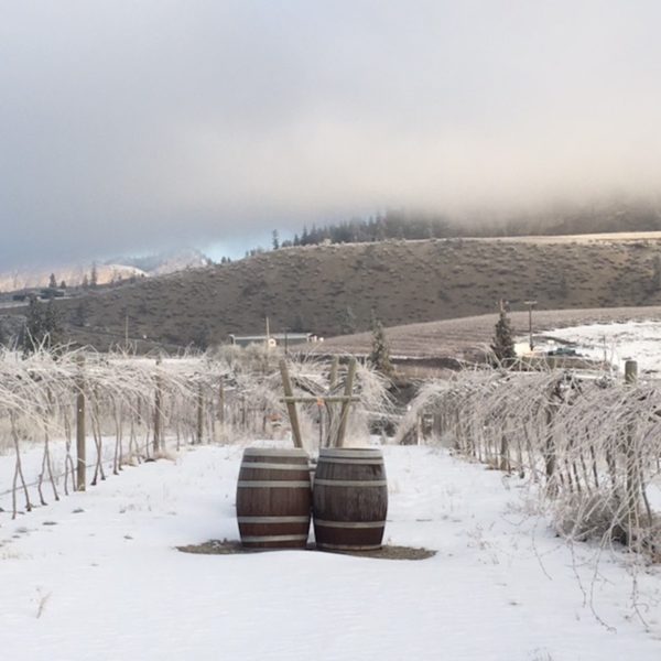 An Afternoon Wine Tasting at Noble Ridge Vineyard & Winery - My VanCity