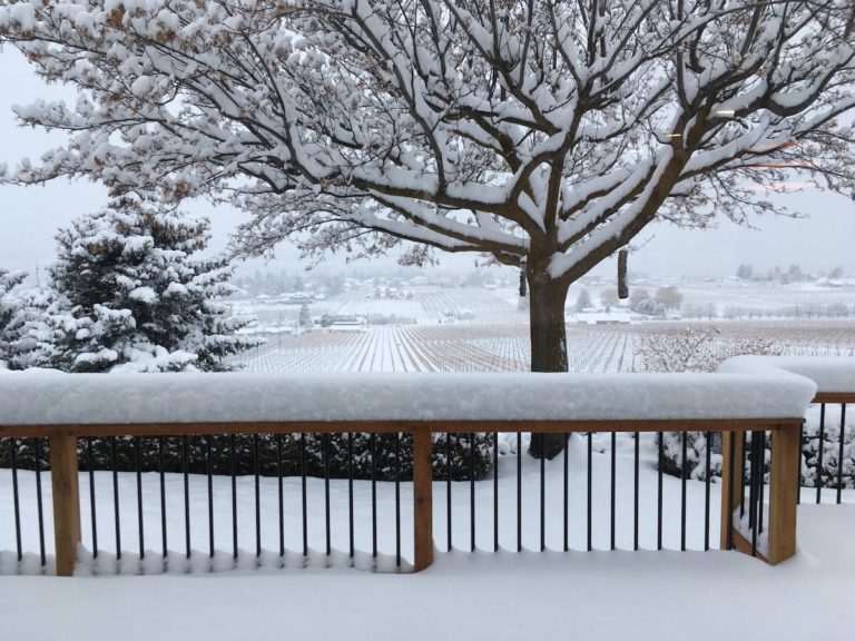 All the News from Four Shadows Vineyard & Winery - My VanCity