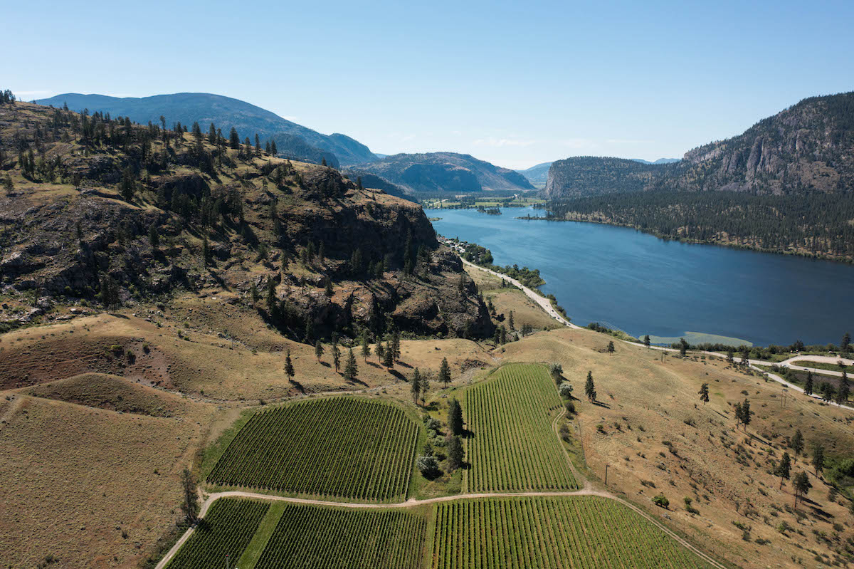 Blue Mountain Vineyard and Cellars 2020 Alluvium Reflection – Block 32 ...