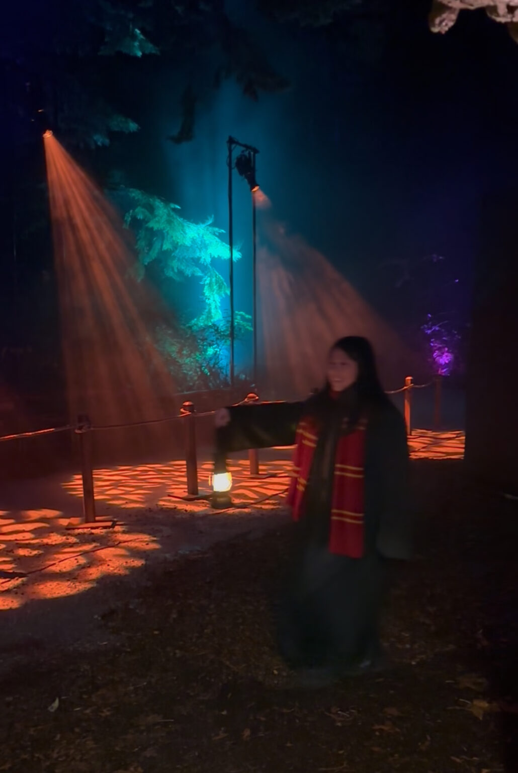 Harry Potter: A Forbbiden Forest Experience - My VanCity